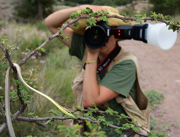A little about your intrepid Dancing Snake Nature Photographer - Glenn ...